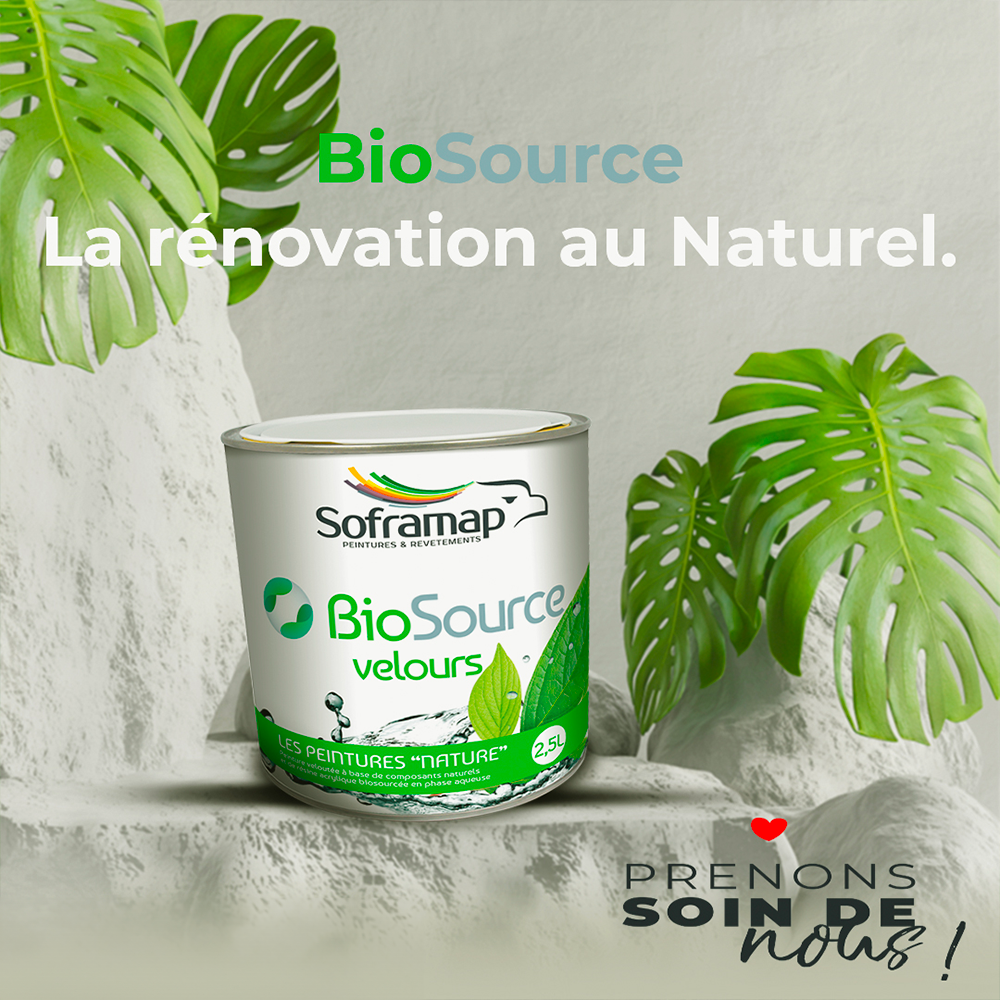Soframap BioSource velours - Peinture écologique veloutée – marketpaint.fr